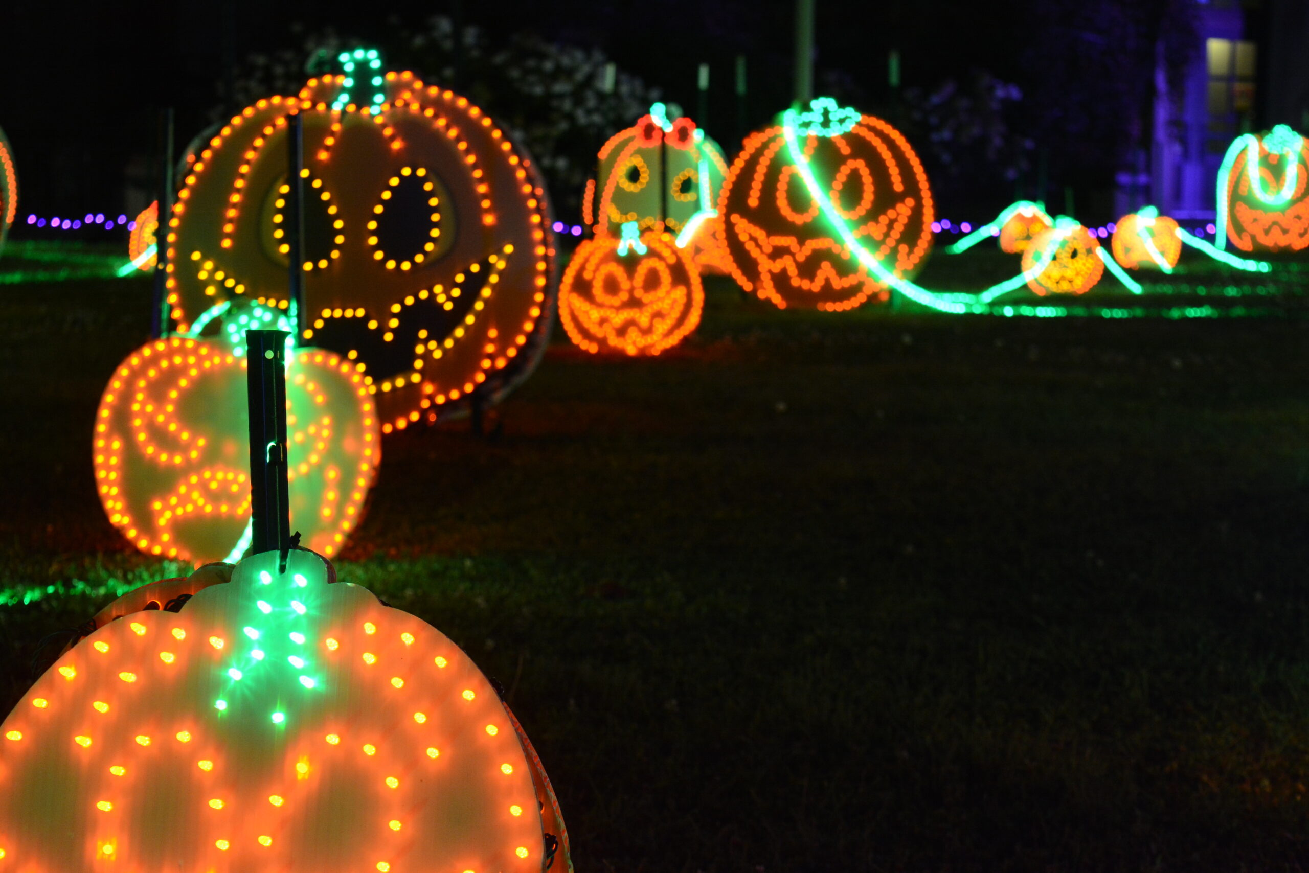 Jack-O’-Lantern Nights at Racine Zoo